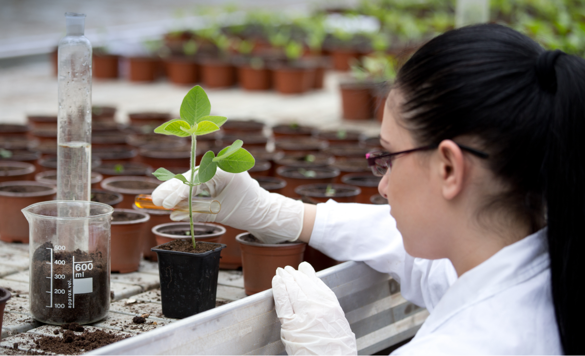 Tudo o que você precisa saber sobre agronomia